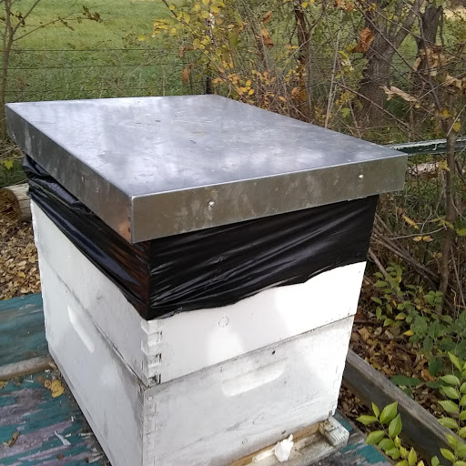 Bye Bye Bees | Old Folks at Homestead